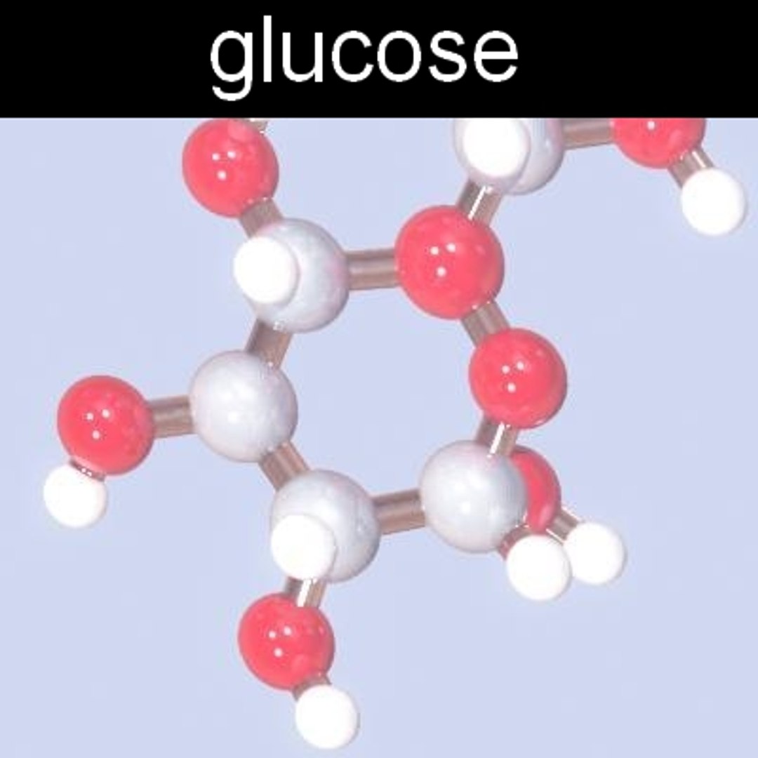 3d Molecule Glucose Model