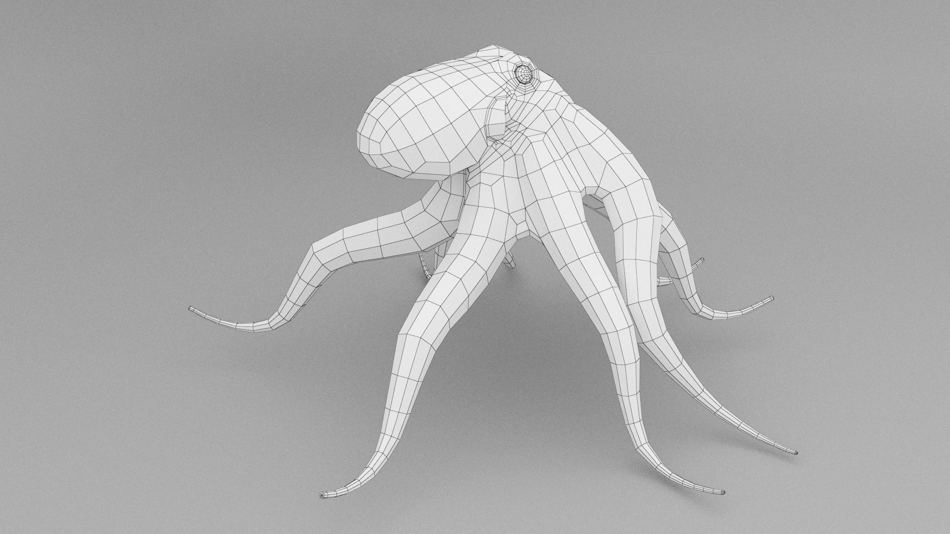 Cartoon Octopus 3D Model - TurboSquid 1606353