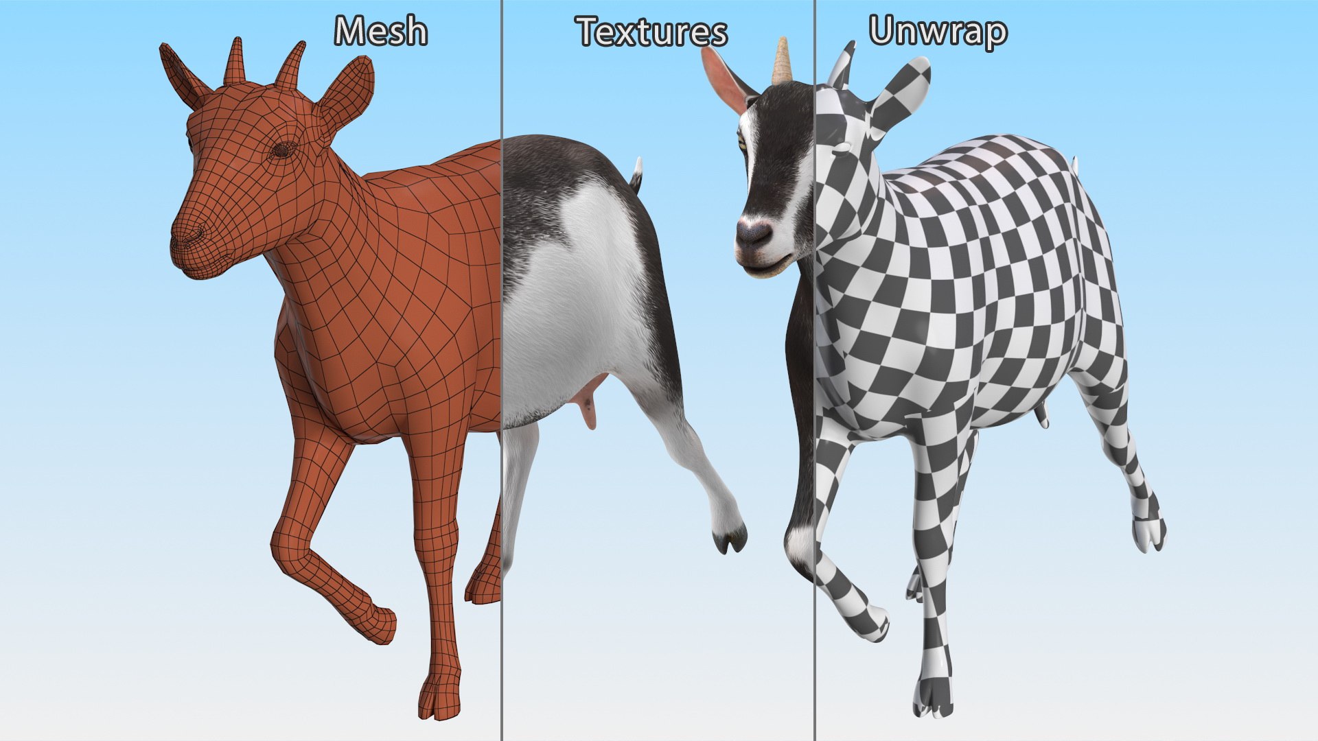 Walking Goat Black-White 3D Model - TurboSquid 1993579