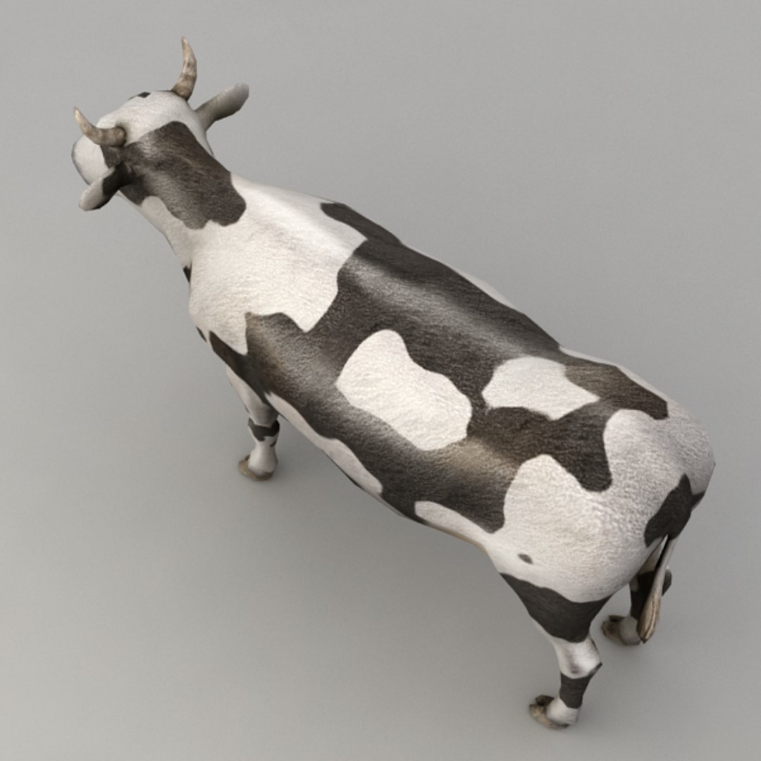 Cow Skeleton 3d Model
