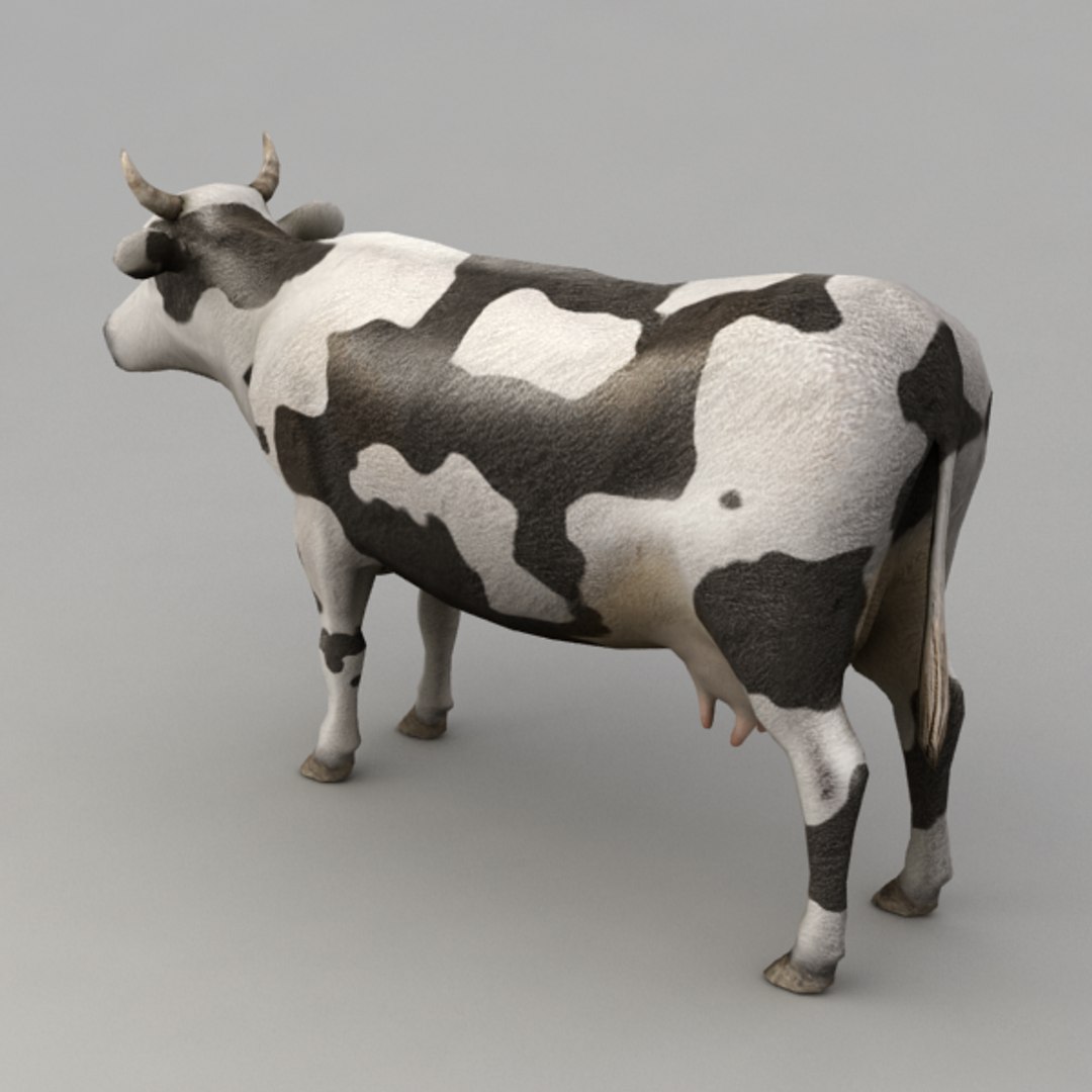 Cow Skeleton 3d Model