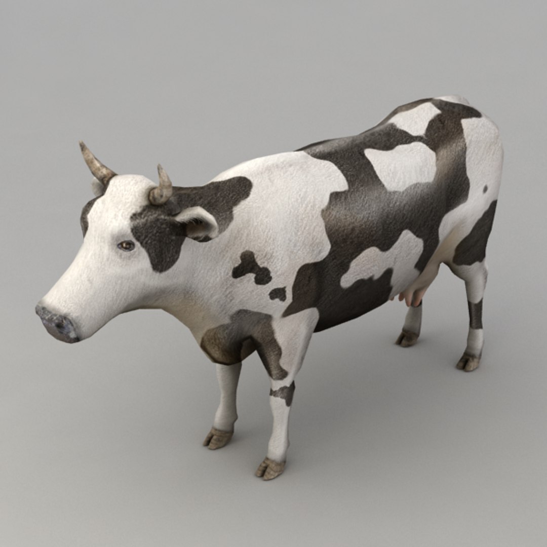 Cow Skeleton 3d Model