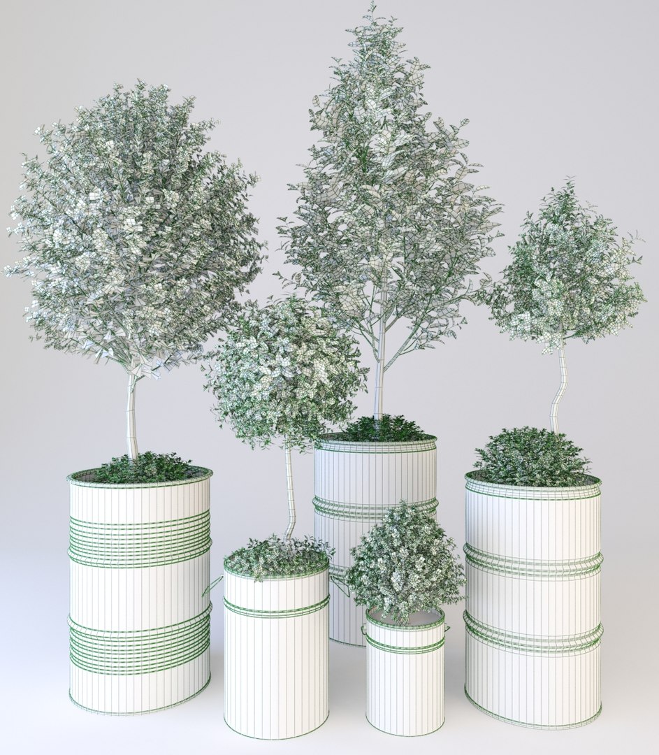 Free 3D Model Tree - TurboSquid 1202291