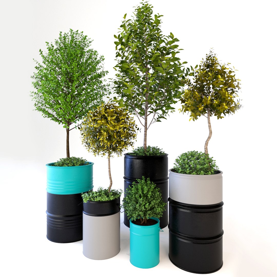 Free 3D Model Tree - TurboSquid 1202291