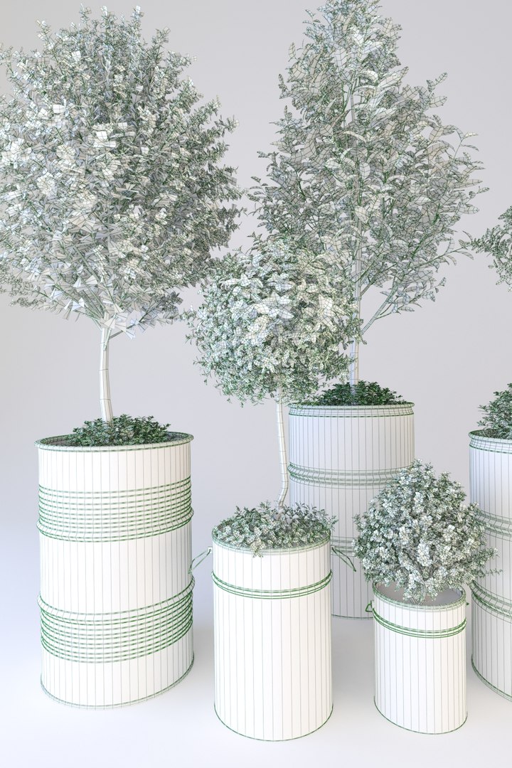 Free 3D Model Tree - TurboSquid 1202291