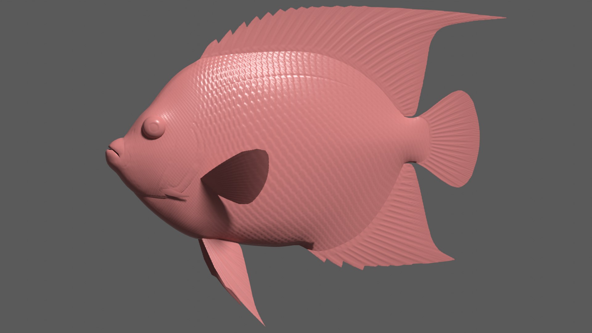 3d model blue angelfish