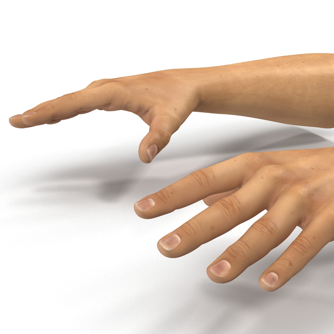 3d 3ds man hands 2