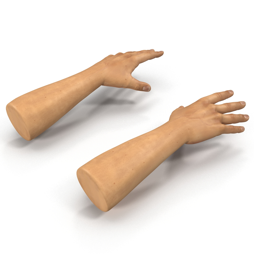 3d 3ds man hands 2