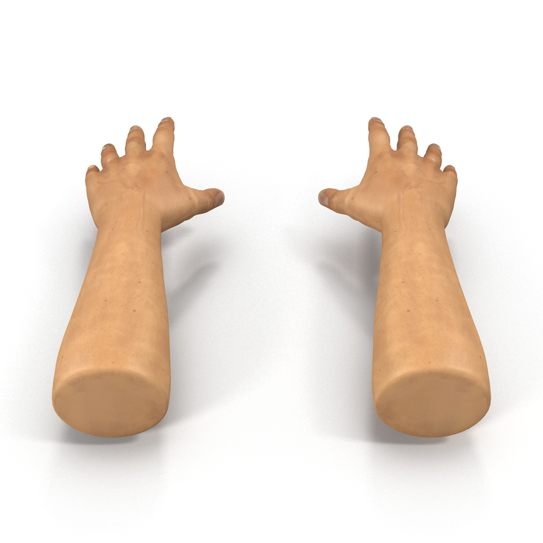 3d 3ds man hands 2