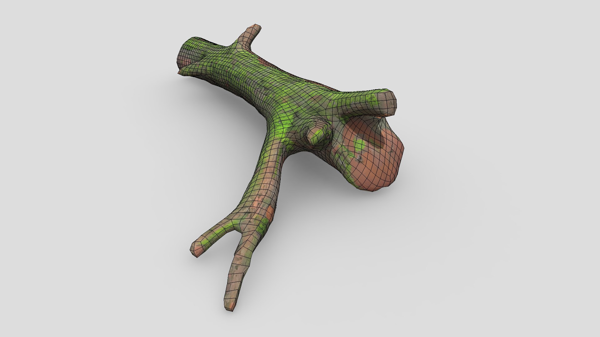 3D Model Fallen Tree 3 - TurboSquid 2248921