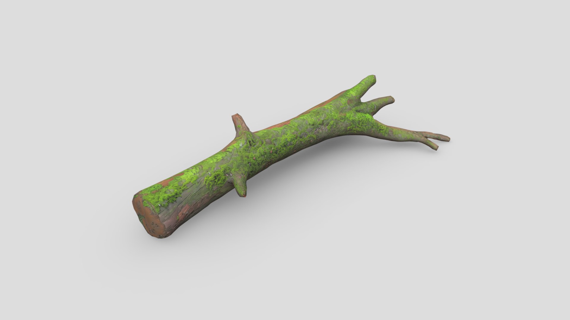 3D Model Fallen Tree 3 - TurboSquid 2248921
