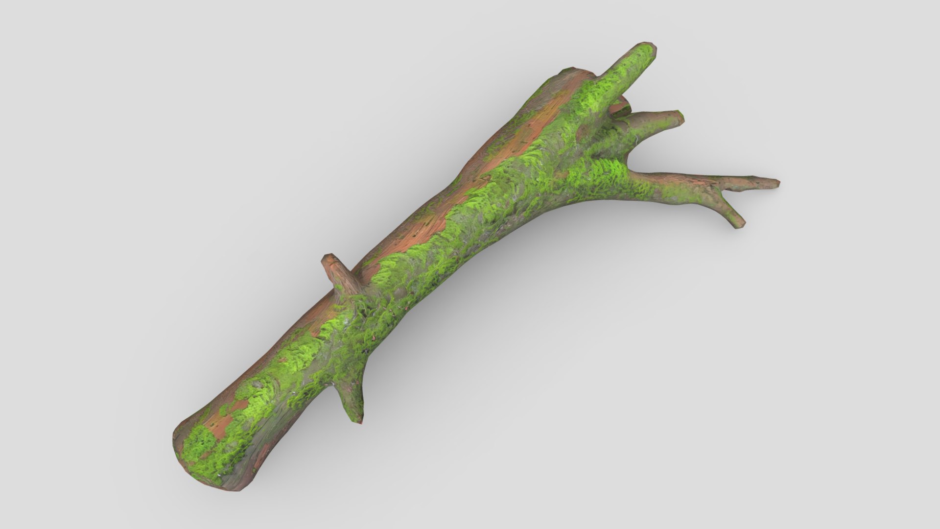 3D Model Fallen Tree 3 - TurboSquid 2248921