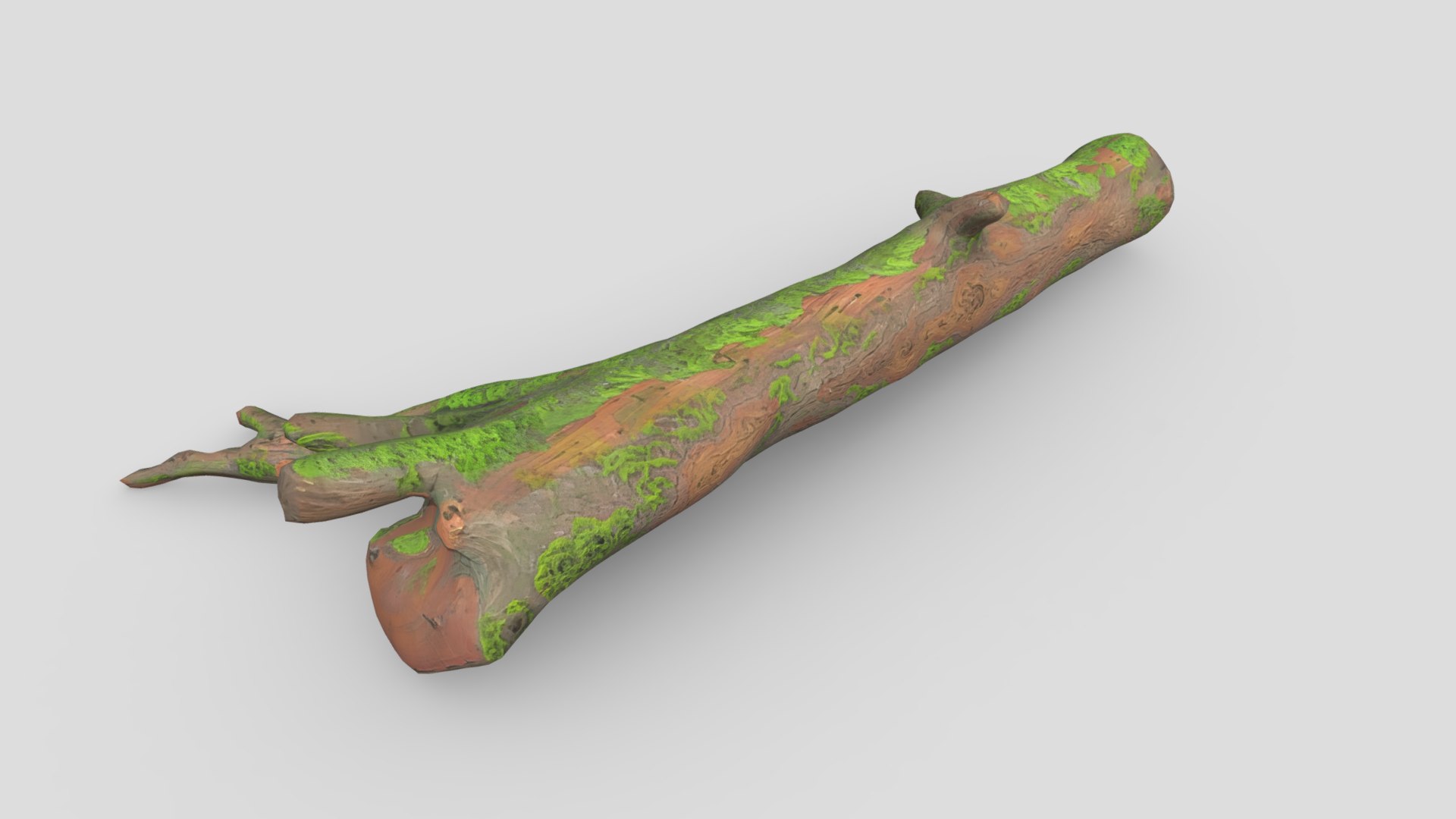 3D Model Fallen Tree 3 - TurboSquid 2248921