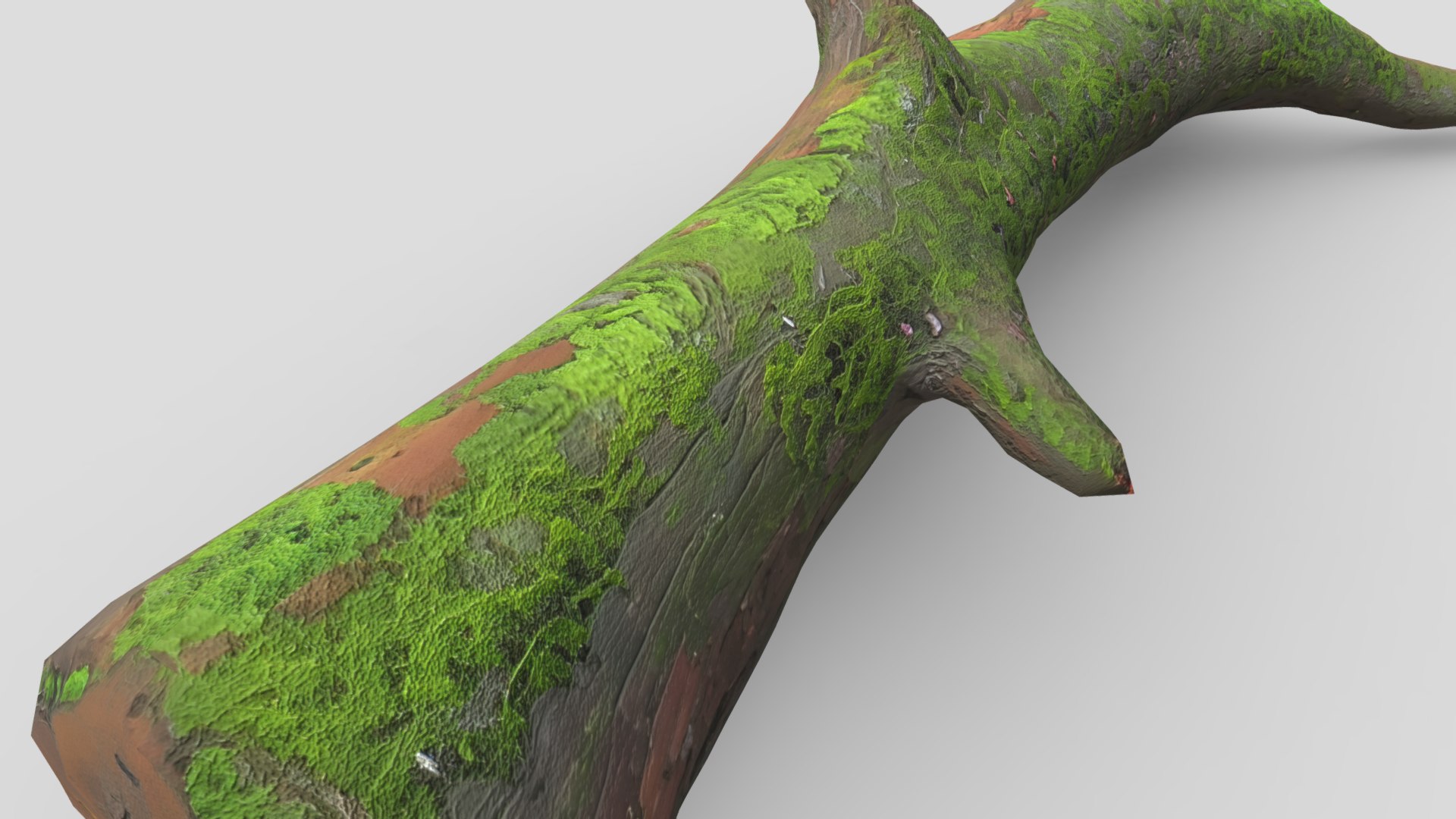 3D Model Fallen Tree 3 - TurboSquid 2248921