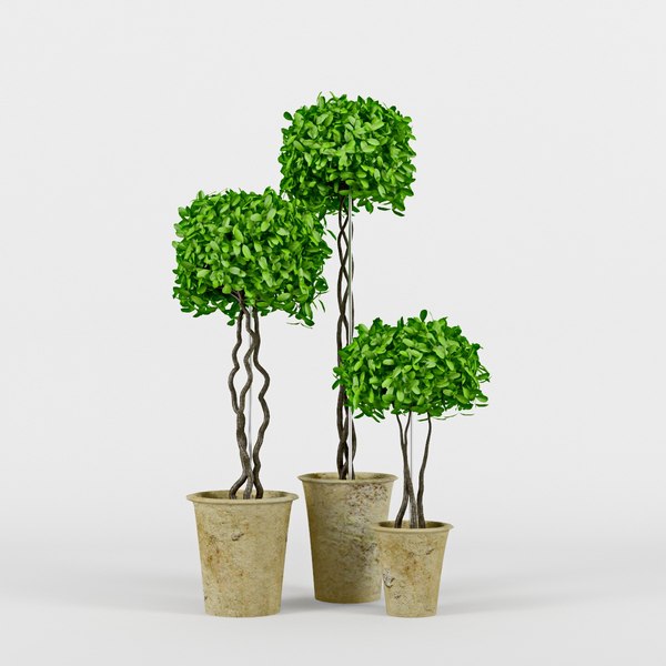 plant 3d obj