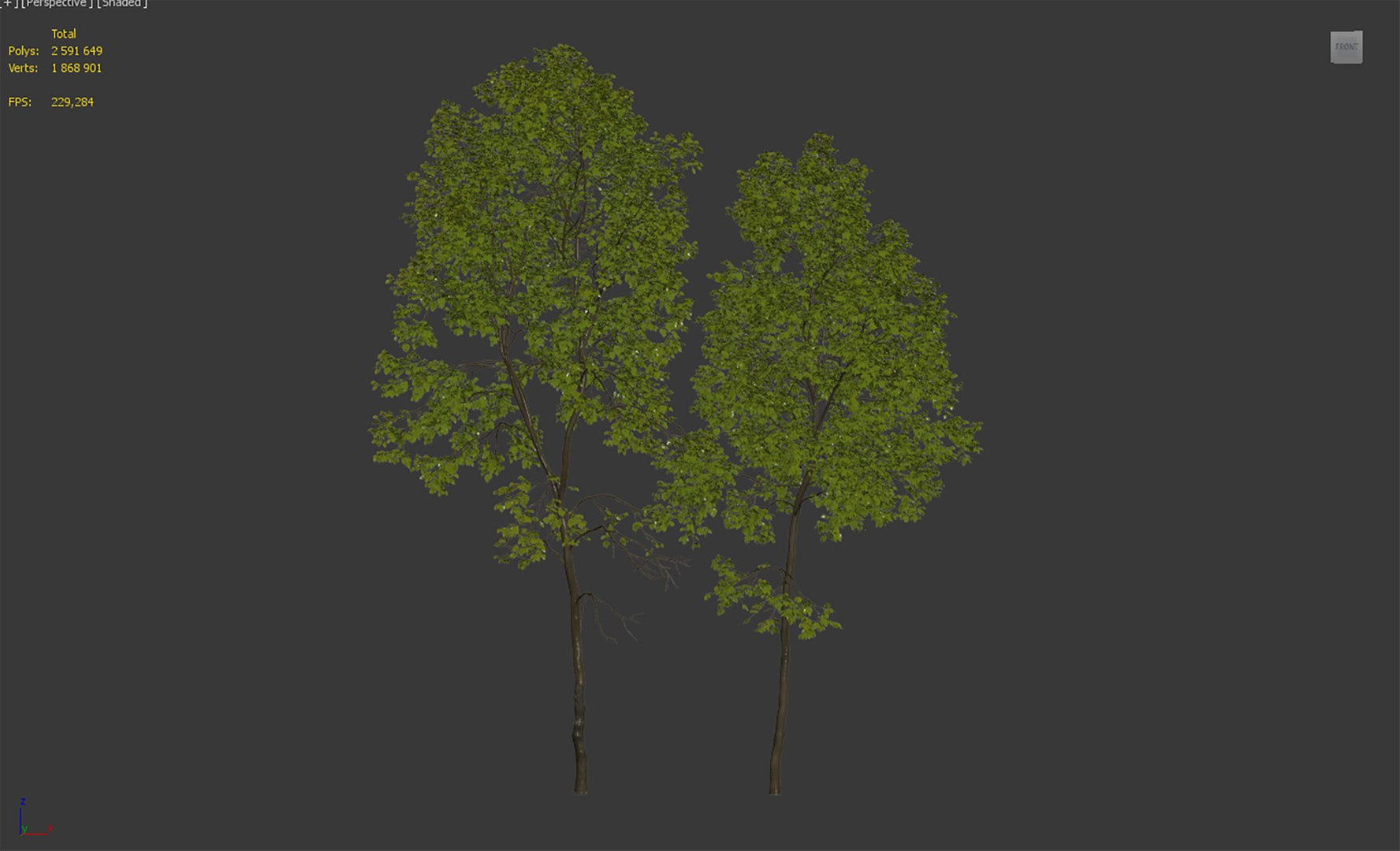 Tree Ash-tree 3D Model - TurboSquid 1688604