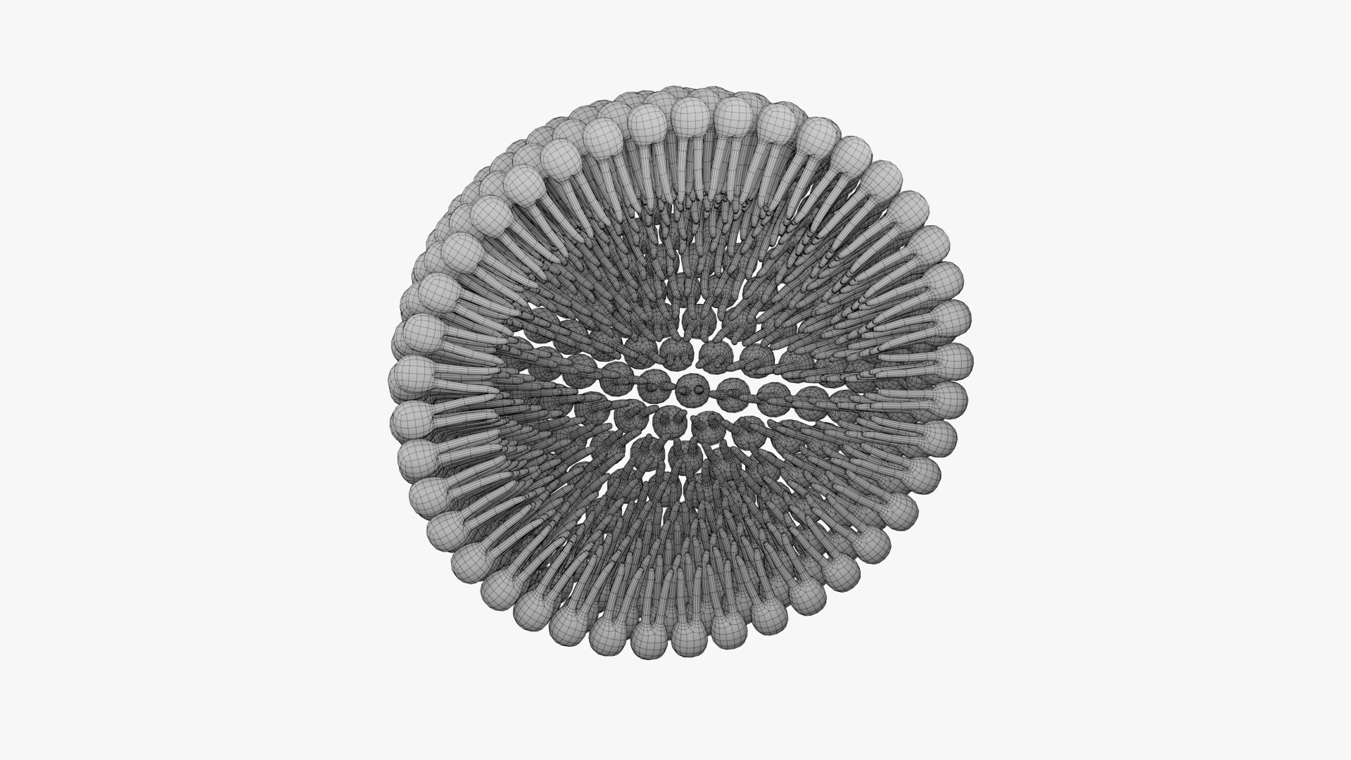 Micelle normal and reverse 3D model - TurboSquid 1920593