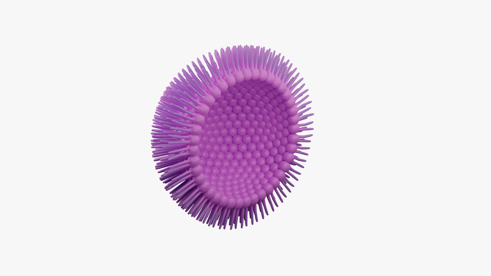 Micelle normal and reverse 3D model - TurboSquid 1920593