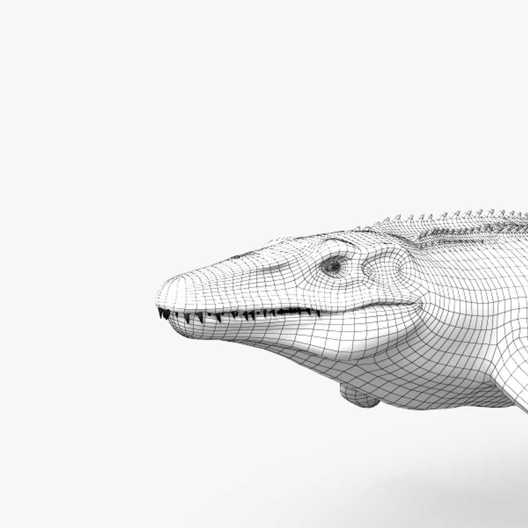 Mosasaurus 3D Model - TurboSquid 1506719