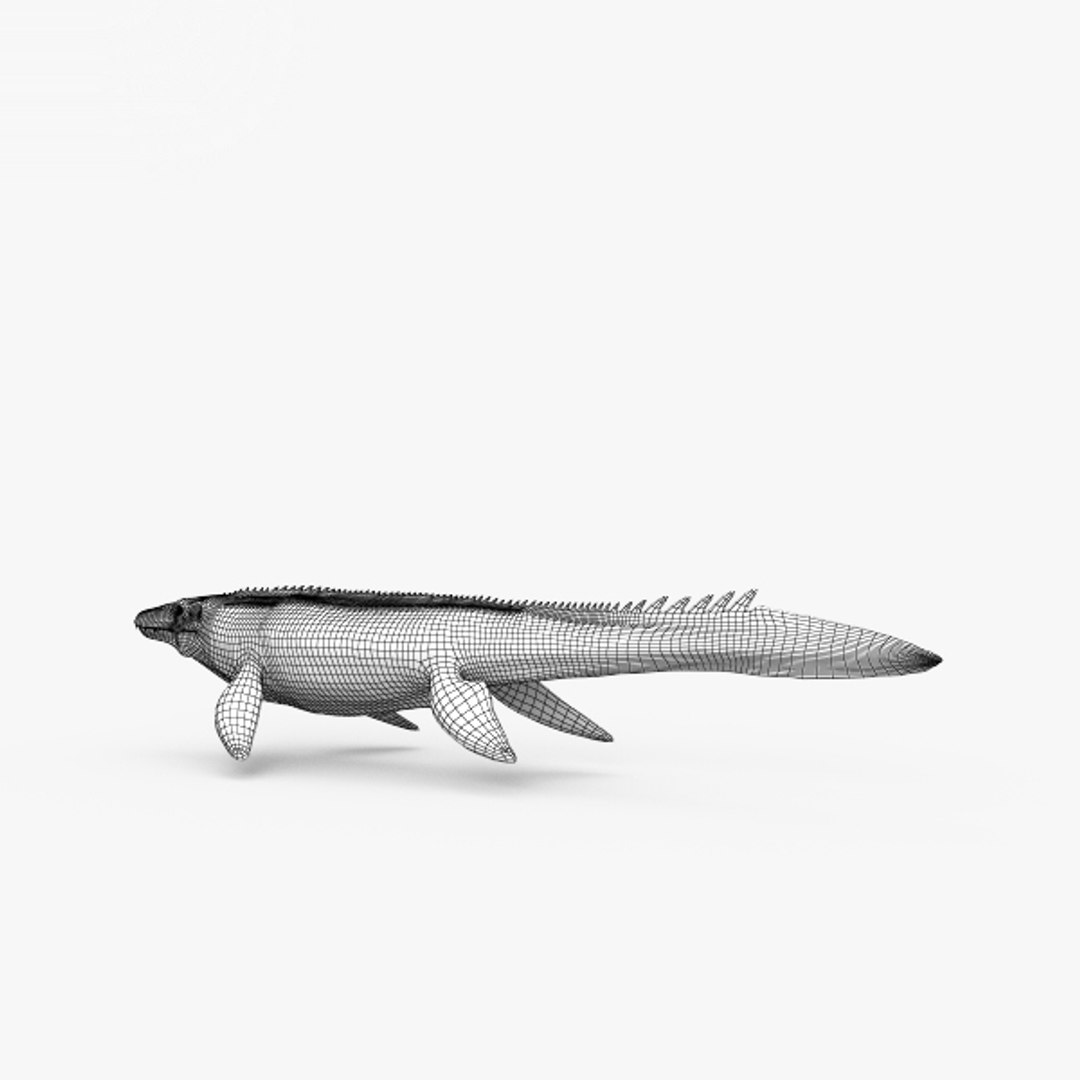Mosasaurus 3D Model - TurboSquid 1506719