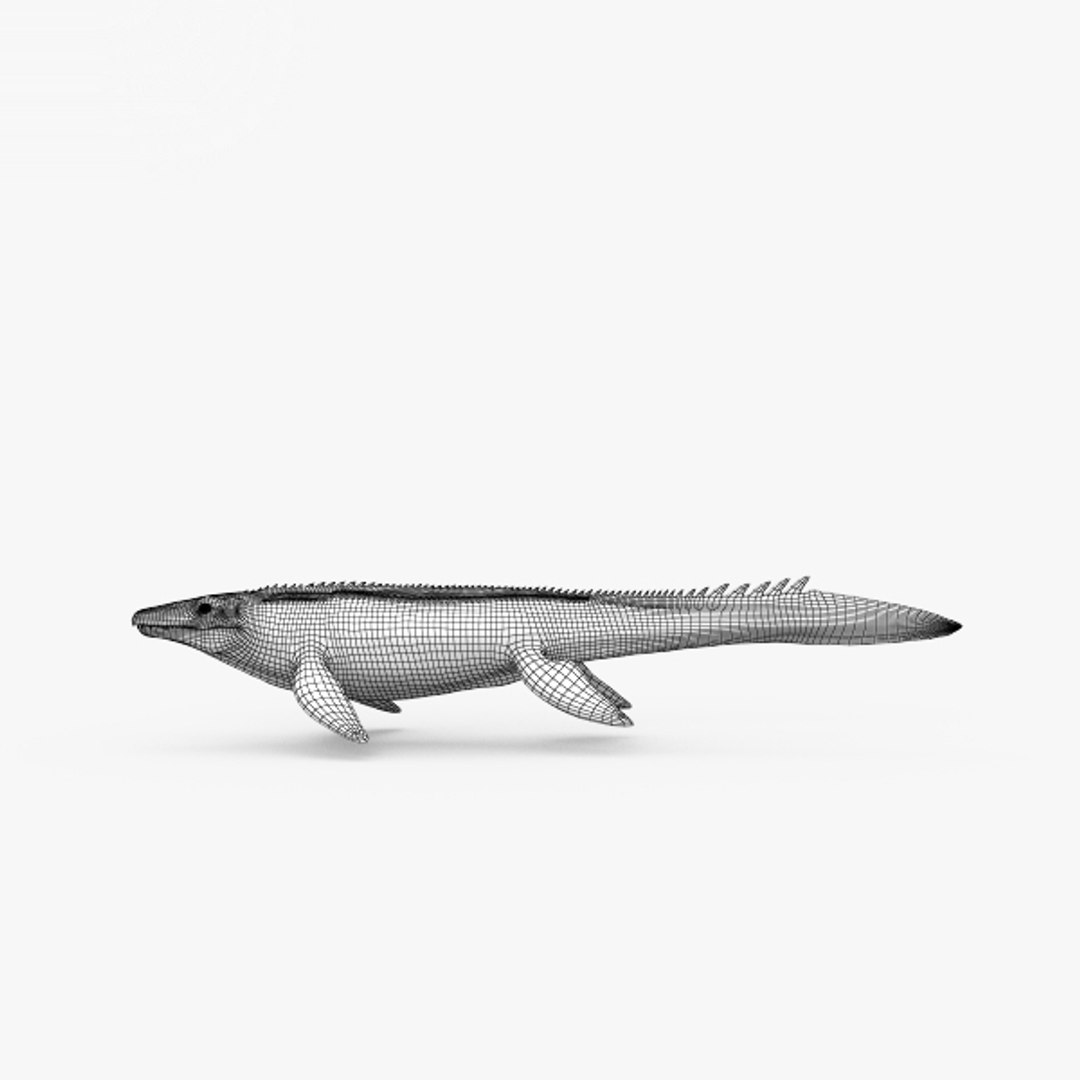 Mosasaurus 3D Model - TurboSquid 1506719