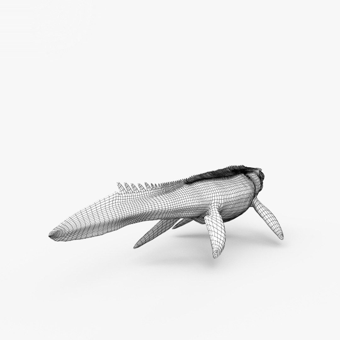 Mosasaurus 3D Model - TurboSquid 1506719