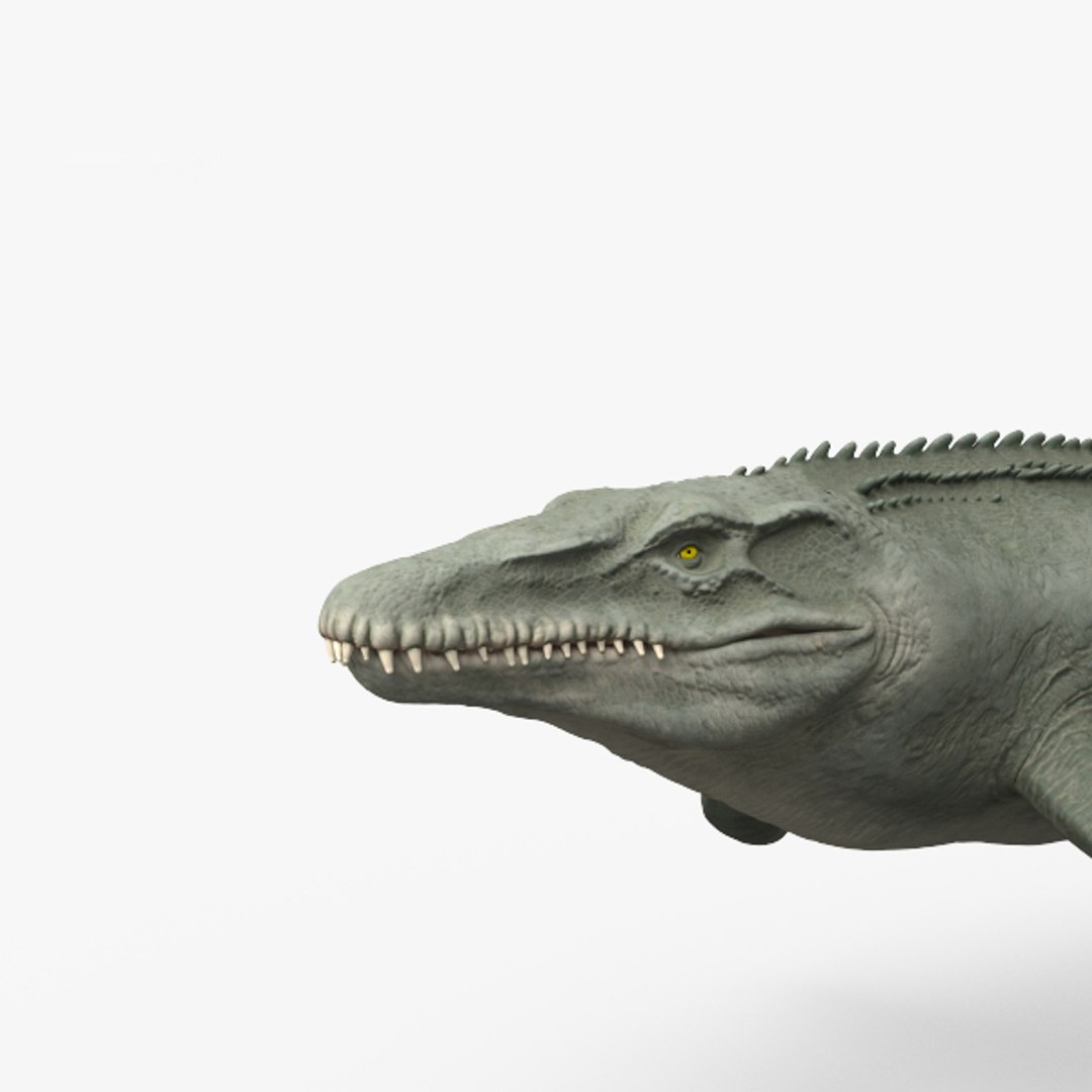 Mosasaurus 3D Model - TurboSquid 1506719