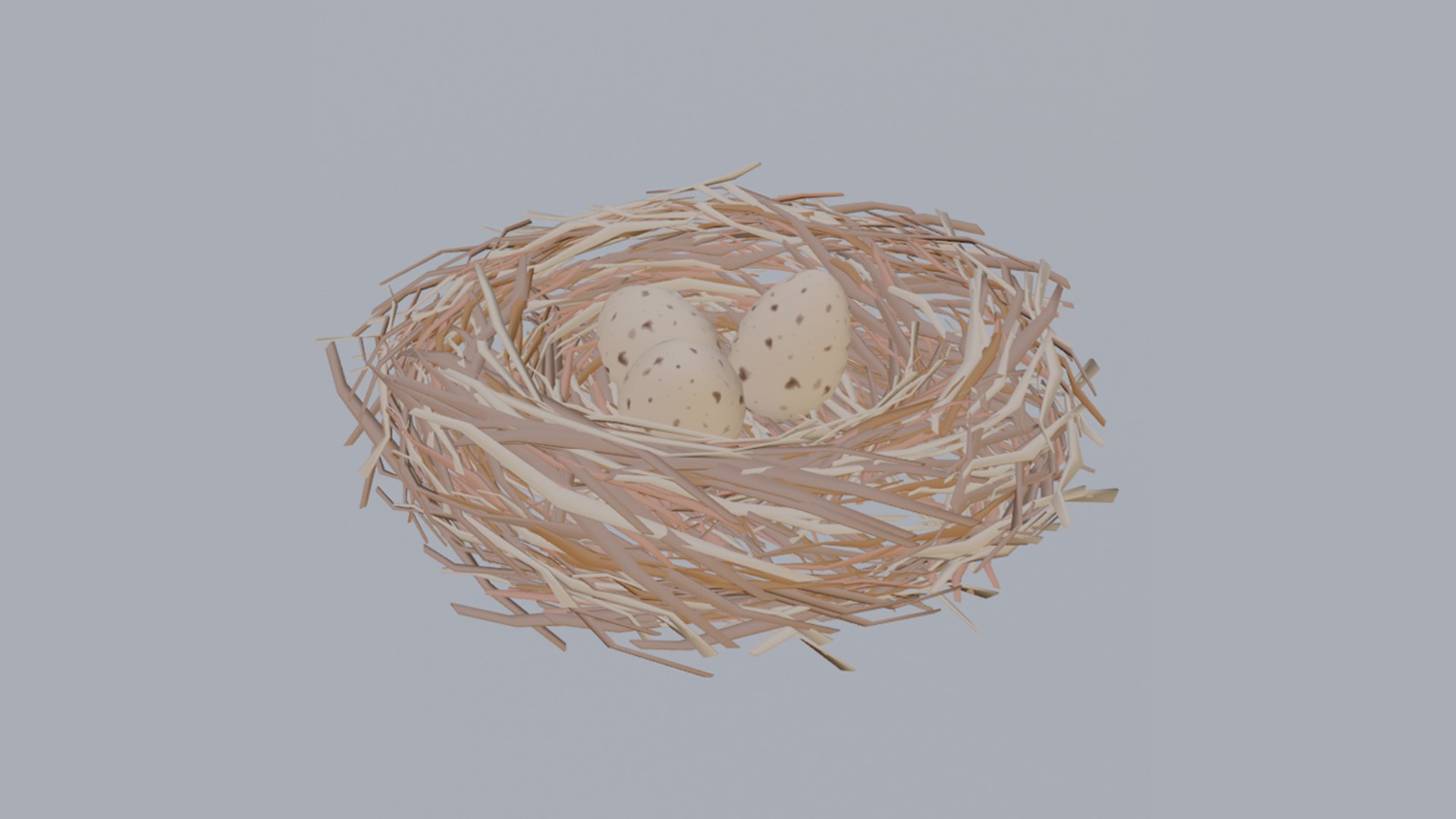 Nest 3D Model - TurboSquid 2167896