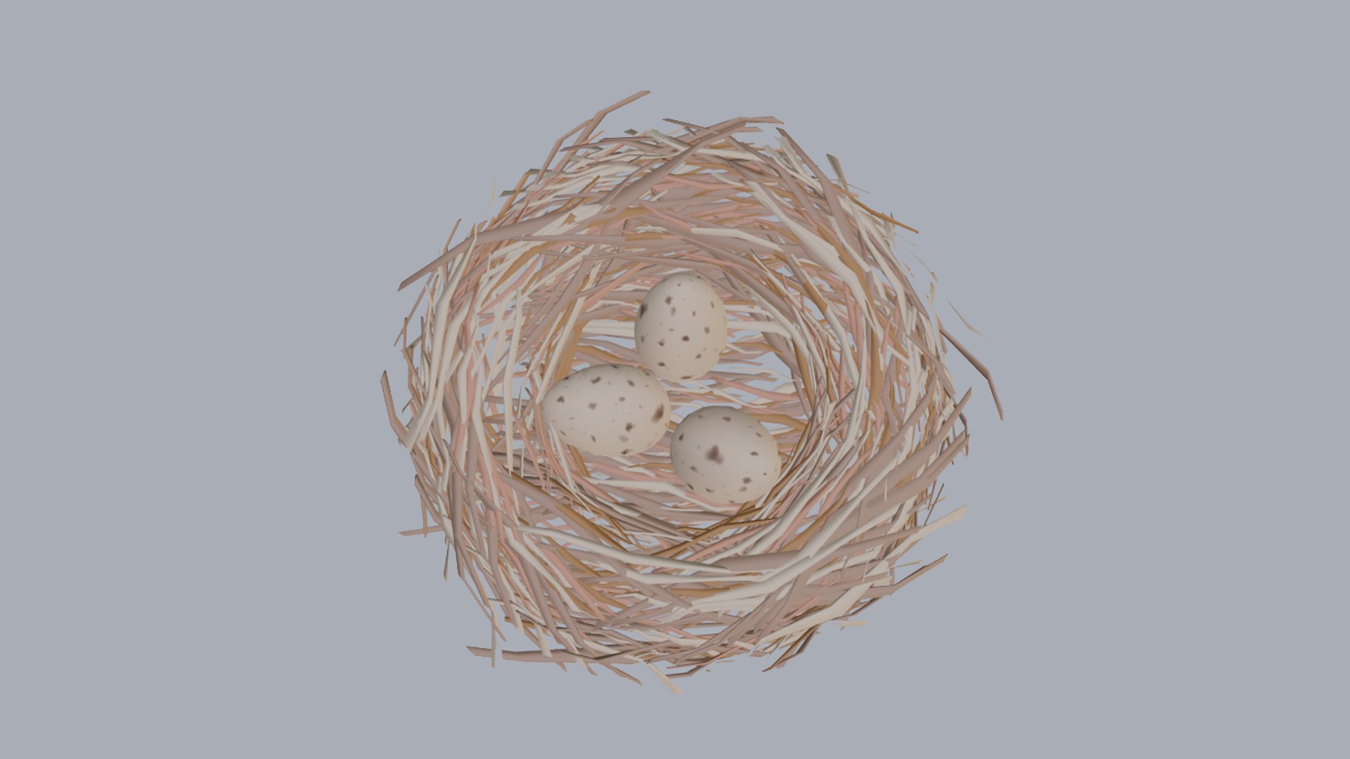 Nest 3D Model - TurboSquid 2167896