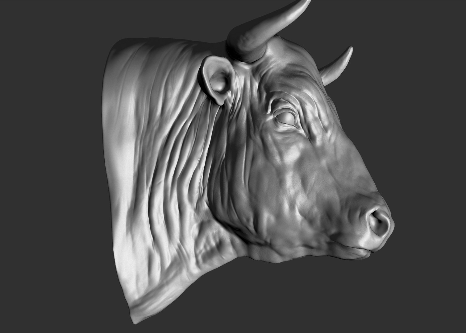 3D Bull Head Model - TurboSquid 1424145