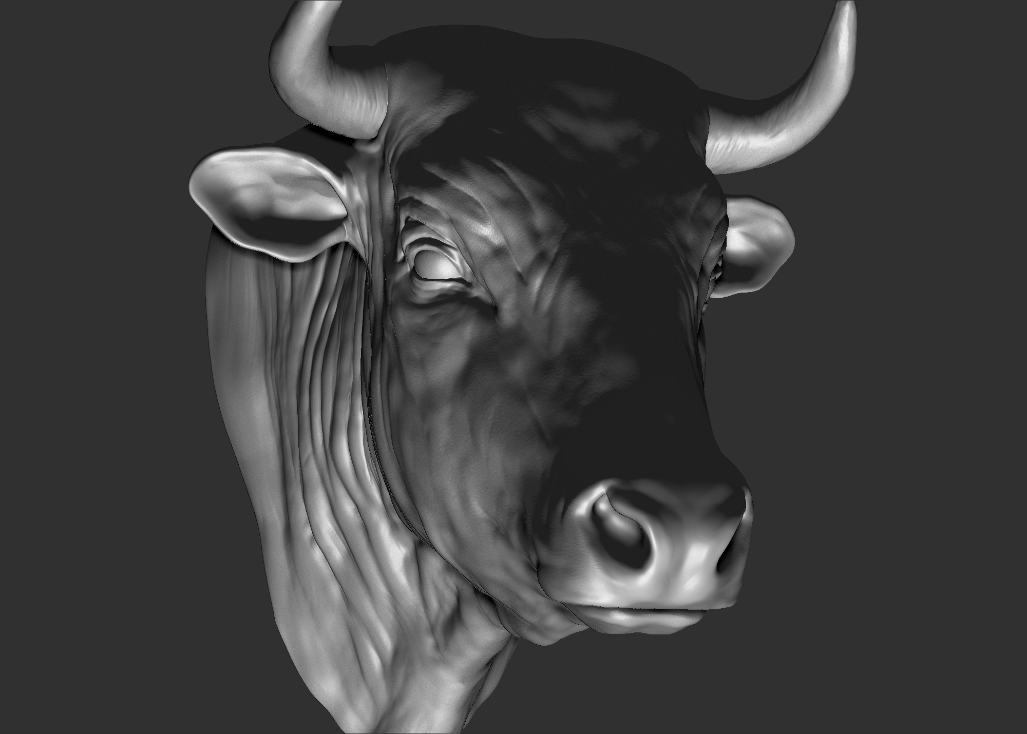 Modello 3D Testa di toro - TurboSquid 1424145