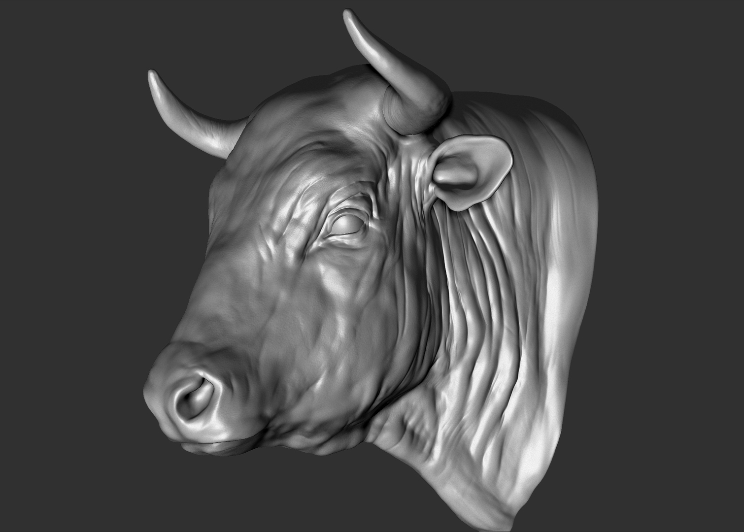 Modello 3D Testa di toro - TurboSquid 1424145