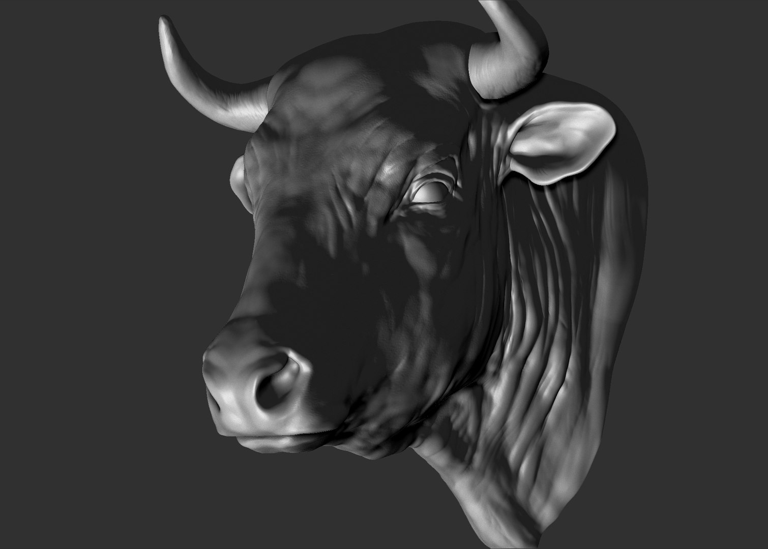 3D Bull Head Model - TurboSquid 1424145