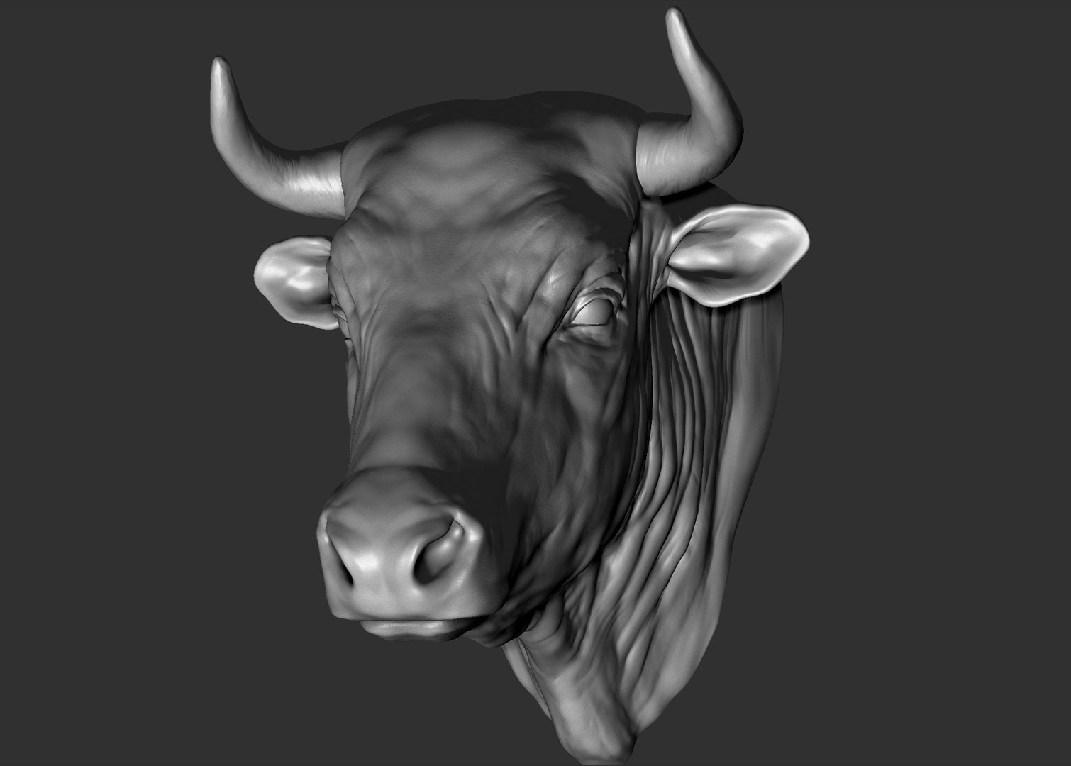 3D Bull Head Model - TurboSquid 1424145