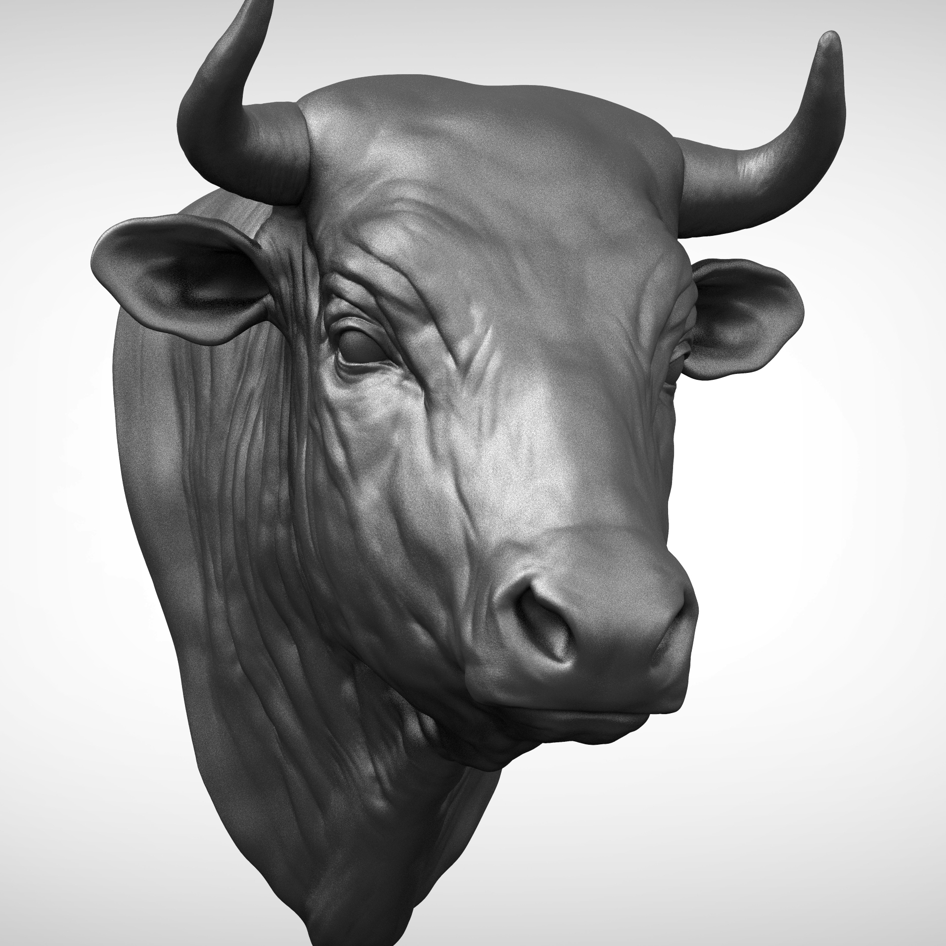 Modello 3D Testa di toro - TurboSquid 1424145