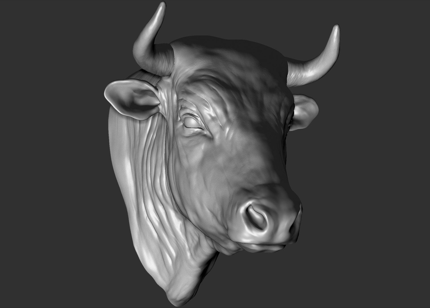 3D Bull Head Model - TurboSquid 1424145