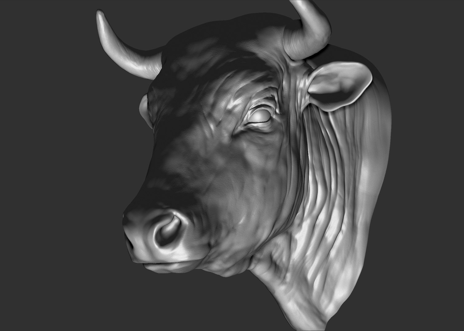 3D Bull Head Model - TurboSquid 1424145