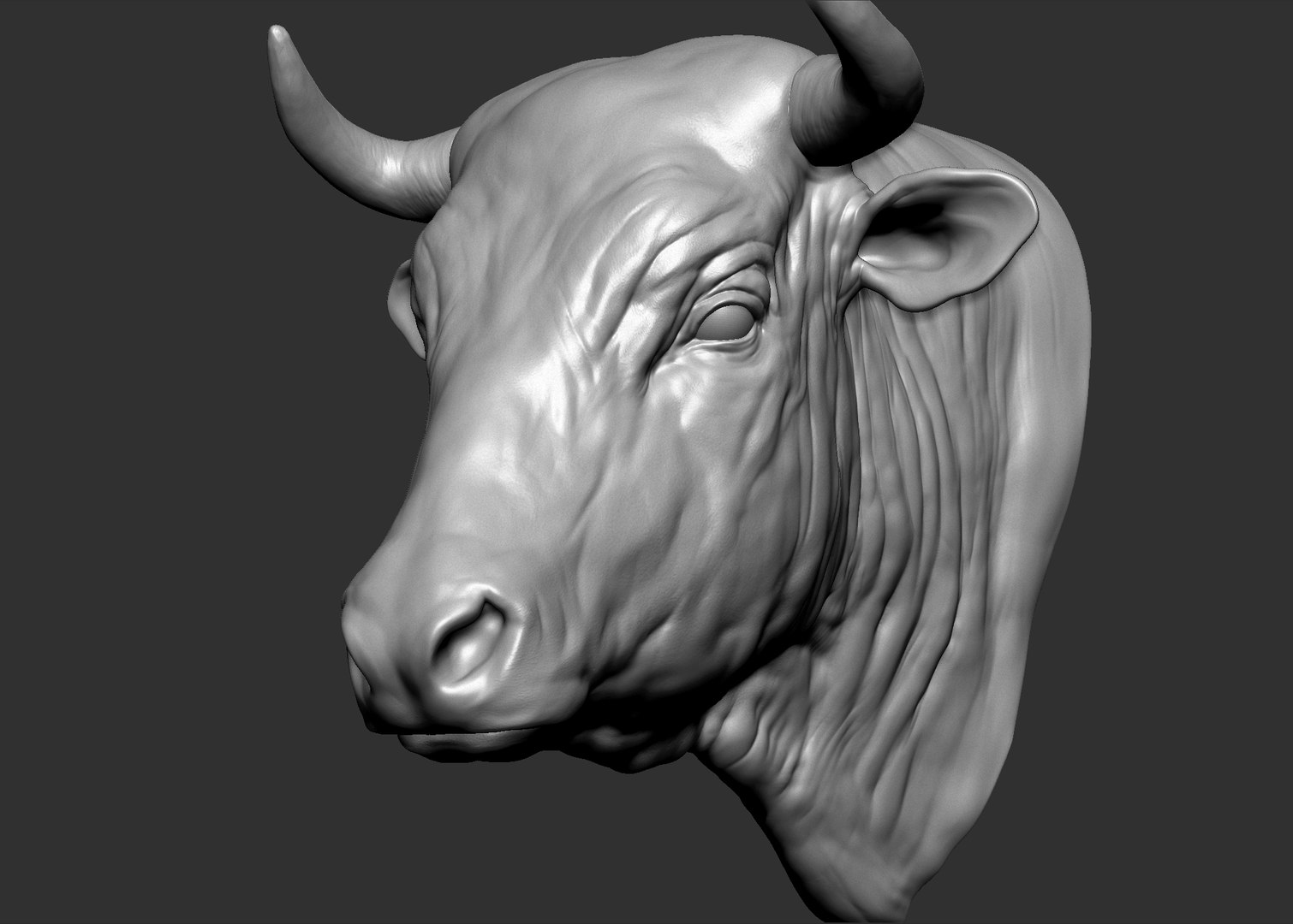 3D Bull Head Model - TurboSquid 1424145