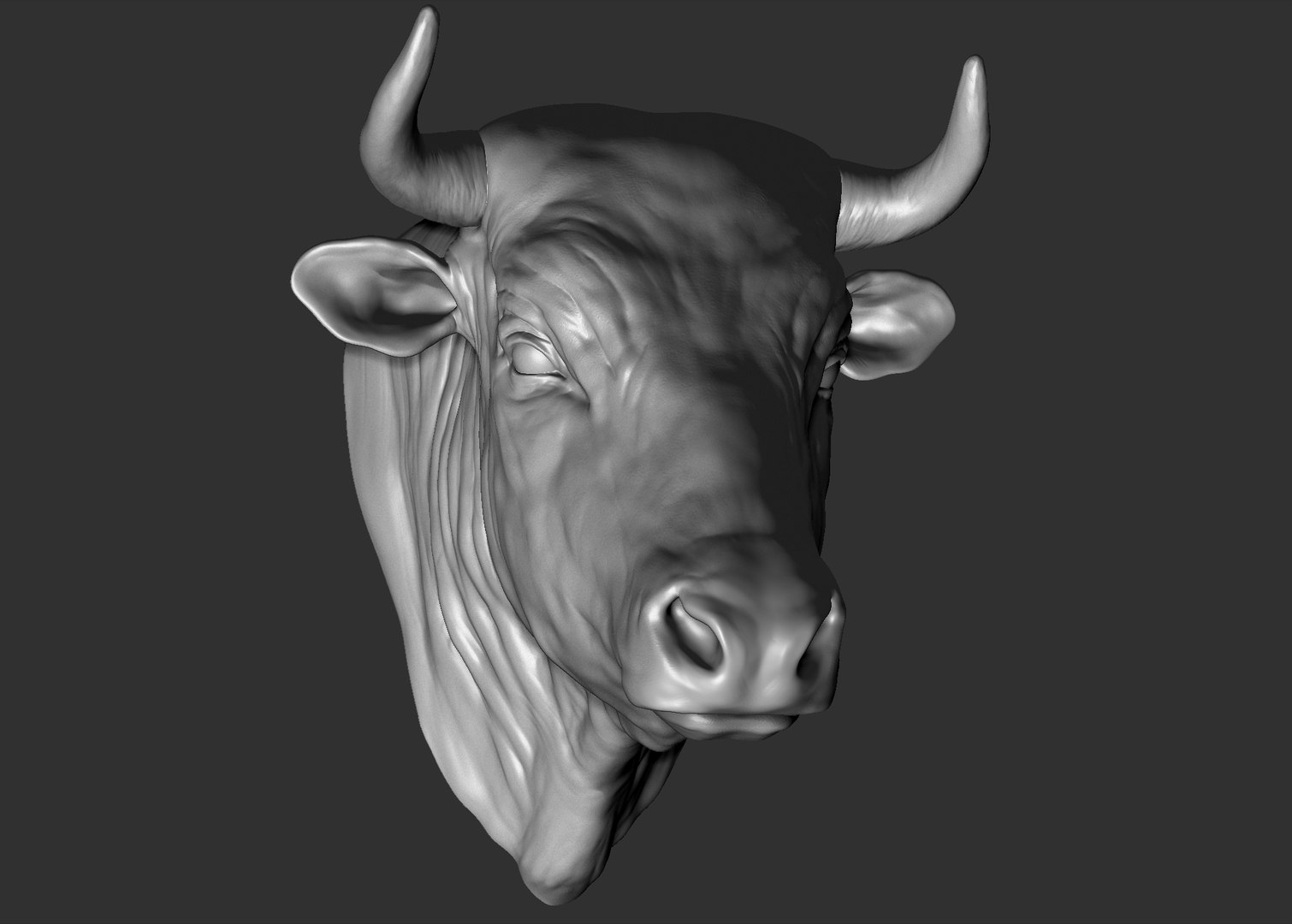 3D Bull Head Model - TurboSquid 1424145