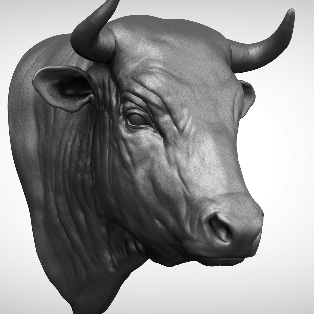 3D Bull Head Model - TurboSquid 1424145