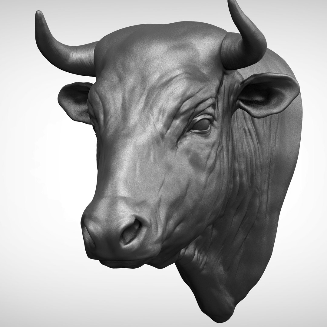 3D Bull Head Model - TurboSquid 1424145