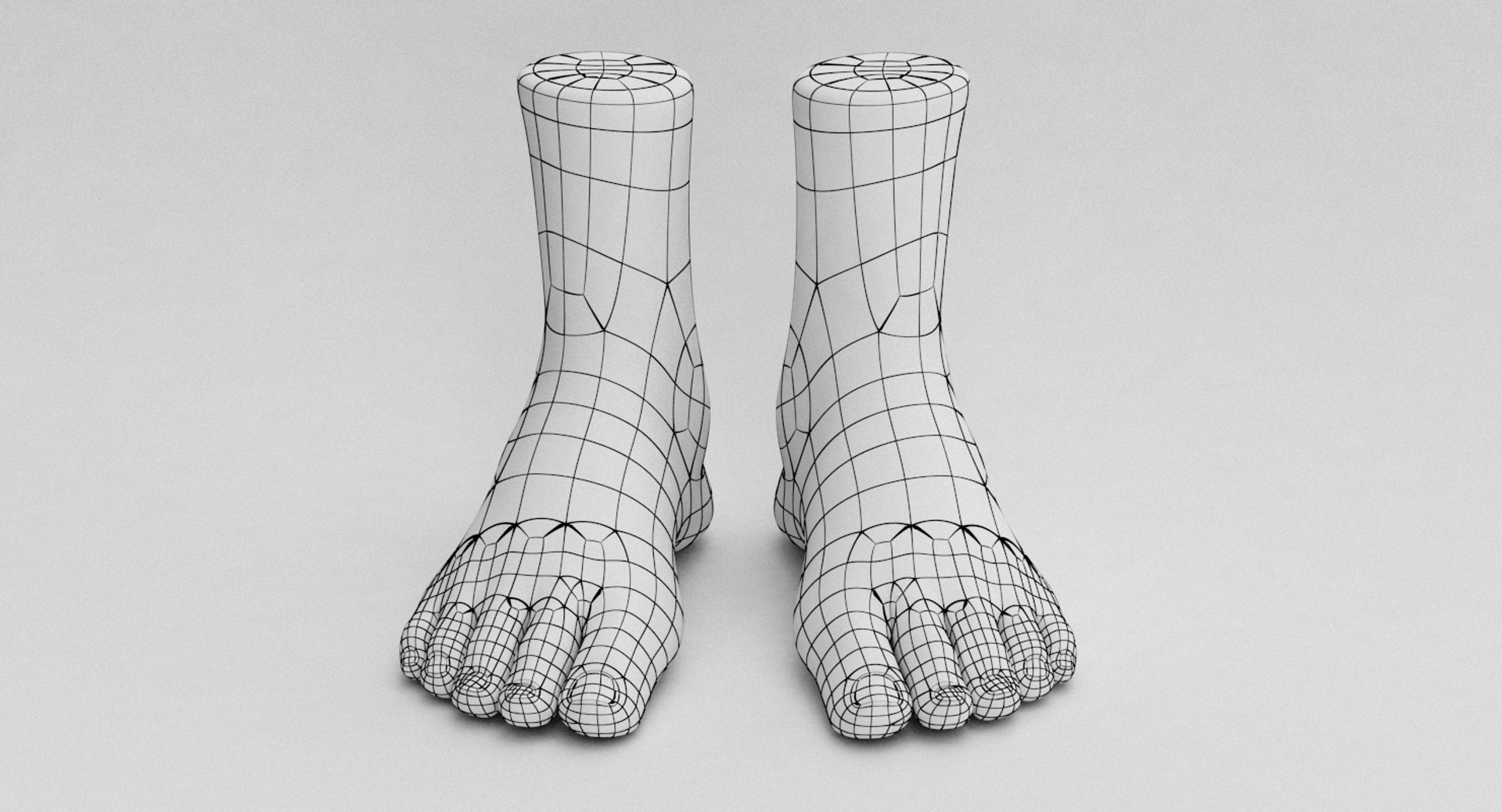 3d foot anatomy model