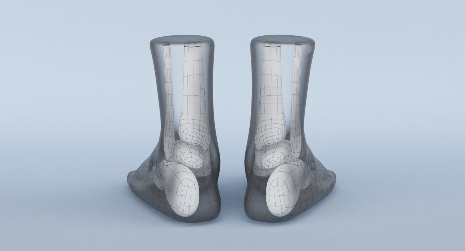 3d foot anatomy model