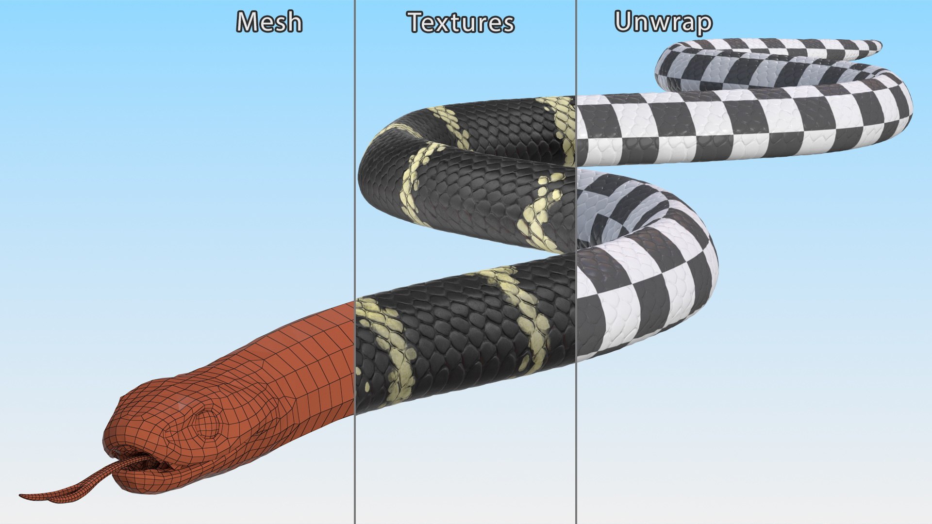 3D Eastern Kingsnake - TurboSquid 1940401