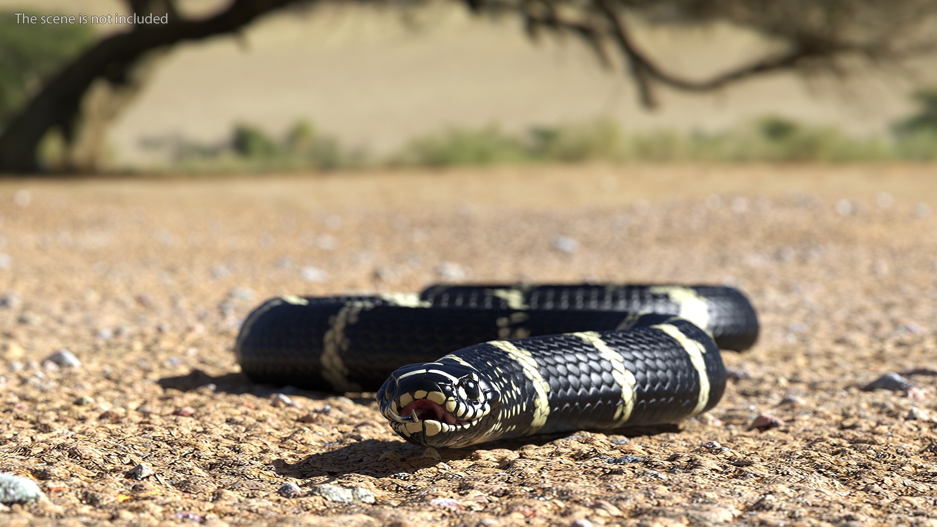 3D Eastern Kingsnake - TurboSquid 1940401