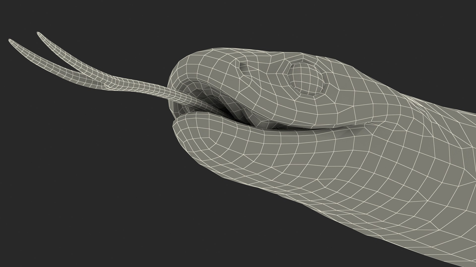3D Eastern Kingsnake - TurboSquid 1940401