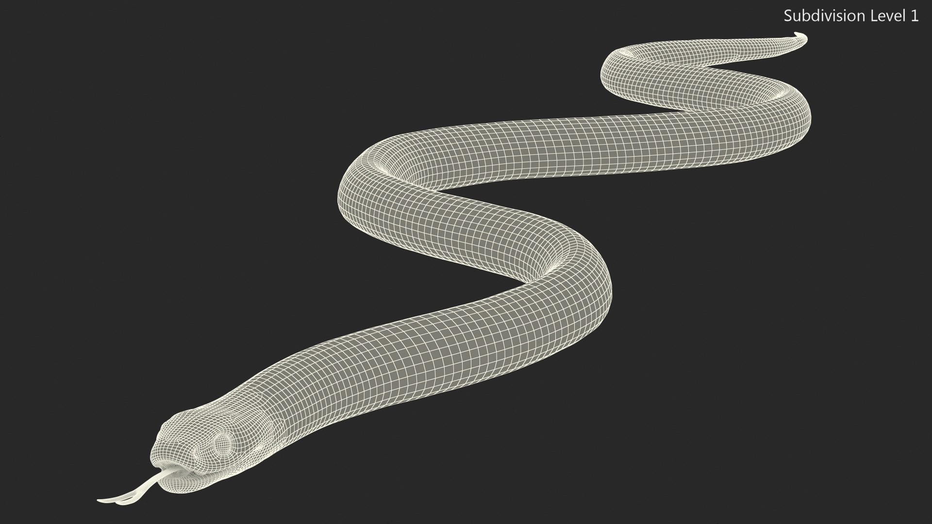 3D Eastern Kingsnake - TurboSquid 1940401