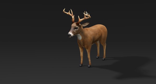 Hirsch (Fell) animiert 3D-Modell - TurboSquid 1222082