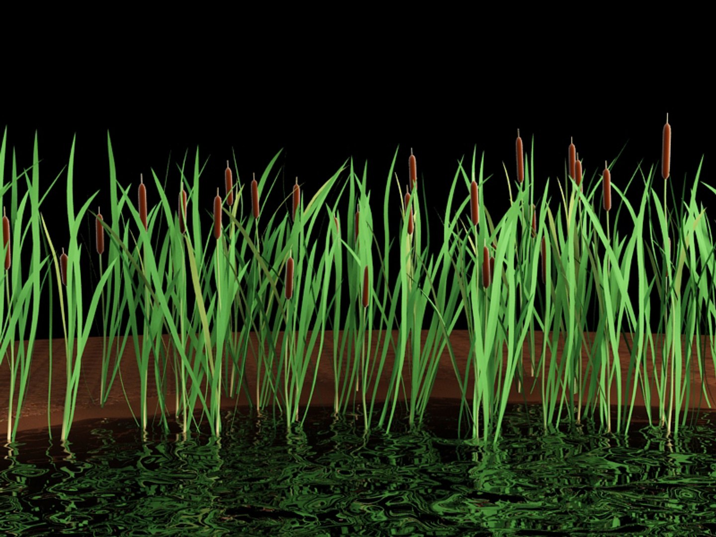 3d Typha Bulrush Cattail Model
