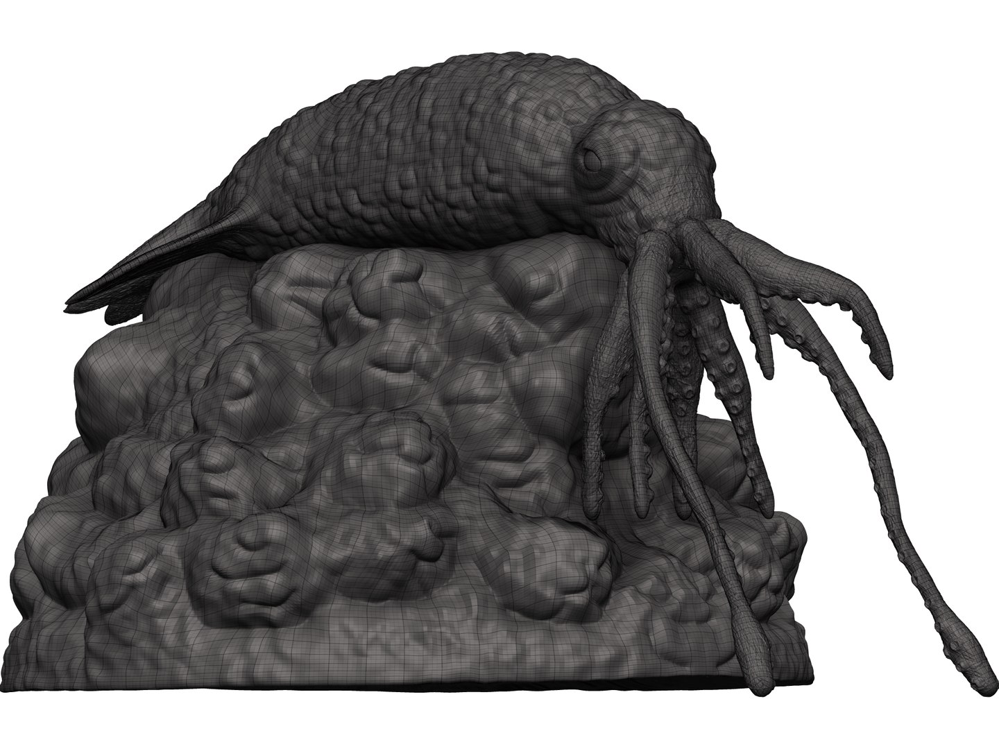 3D Model Realistic Squid - TurboSquid 1874636